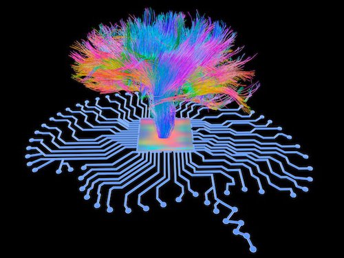 Brain mapping unlocks treatments for movement, mental health disorders ...