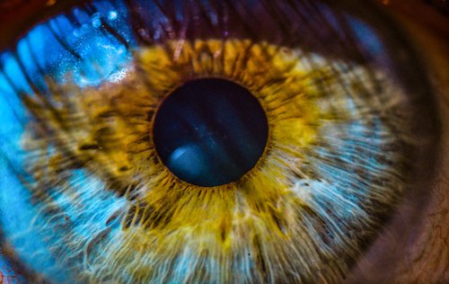 After cornea damage, neurotization surgery can save patients’ vision ...