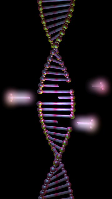 The Gene Genie | Discovery | UT Southwestern Medical Center